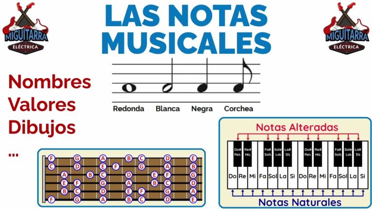 Tipos de Notas Musicales: Todo lo que Debes Saber » Audacity PRO ...